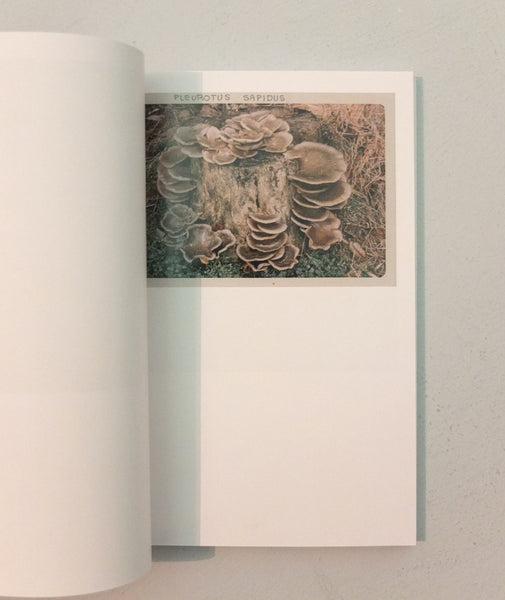 Donlon Books | The Mushroom Collector by Jason Fulford