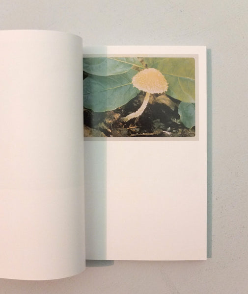 Donlon Books | The Mushroom Collector by Jason Fulford
