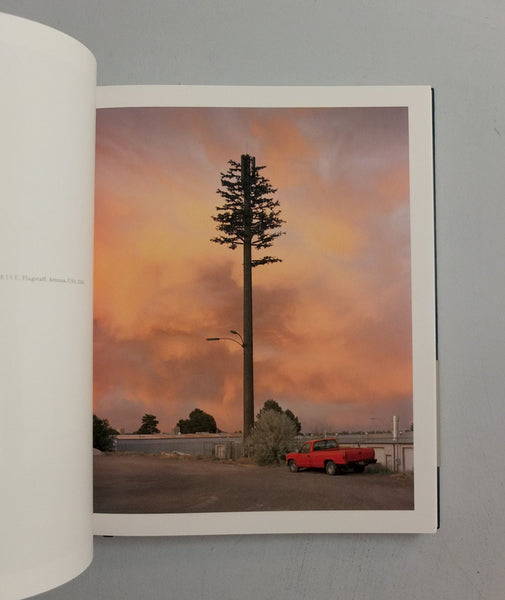 Donlon Books | New Trees by Robert Voit