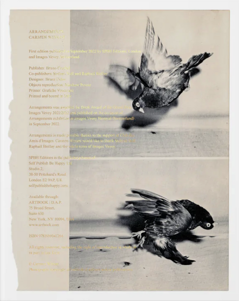 Donlon Books | Arrangements by Carmen Winant