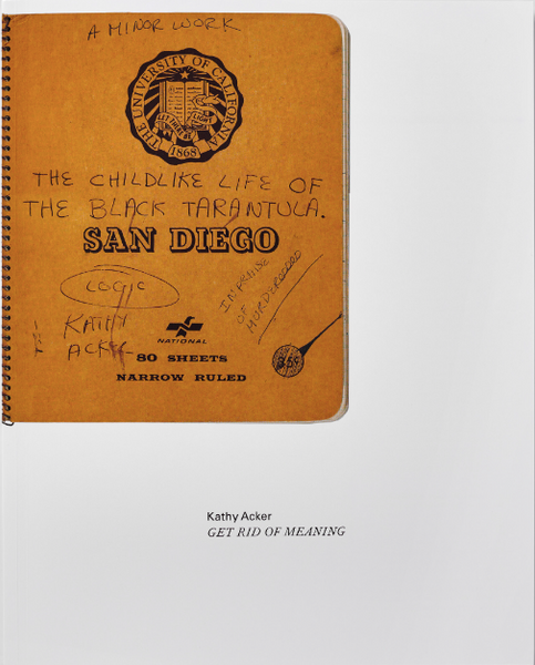 Donlon Books | Get Rid of Meaning - Kathy Acker