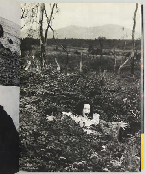 Donlon Books | The Butoh by Mitsutoshi Hanaga