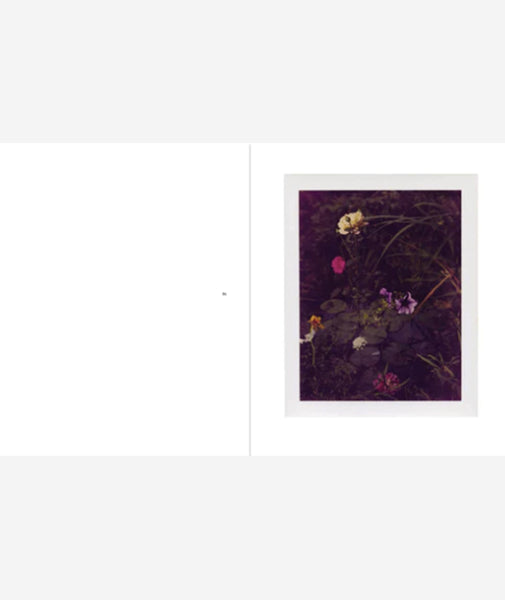 Donlon Books | August by Collier Schorr